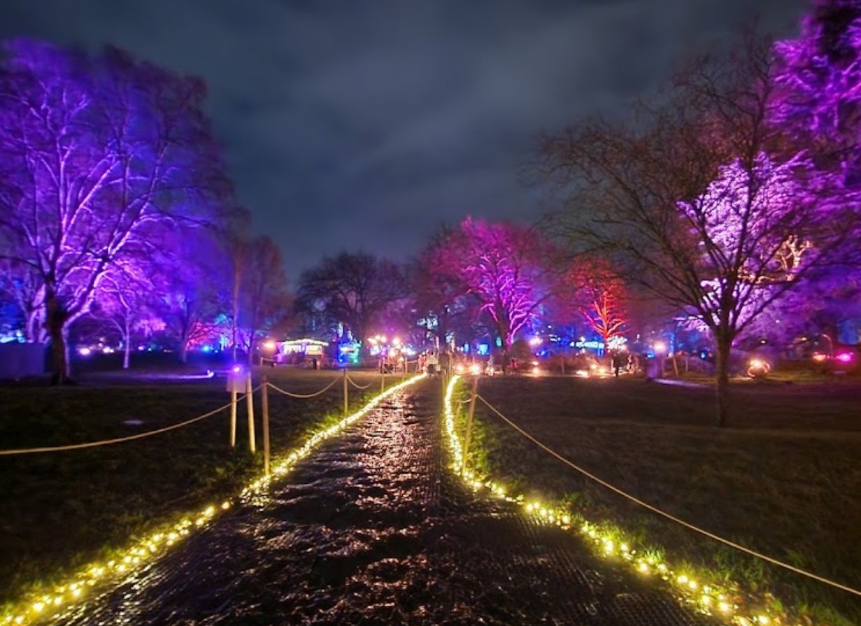 Best Dog Swimming Spots in Glamorganshire: Top 5 Stunning Spots for ...