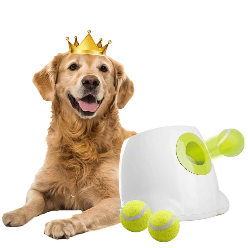 Maxi Automatic Ball Launcher For Dogs Interactive Thrower Large