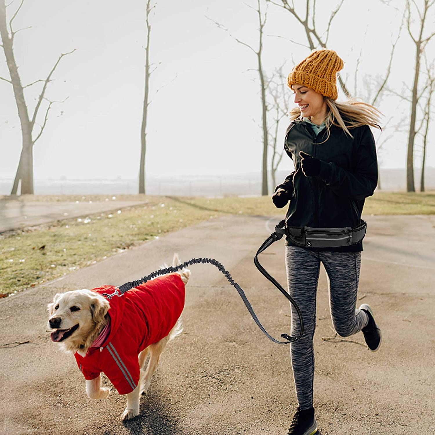 Hand Free Dog Lead Reflective Bungee Dog Lead Running Leash