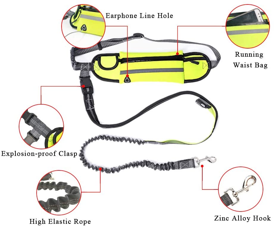 Hand Free Dog Lead Reflective Bungee Dog Lead Running Leash