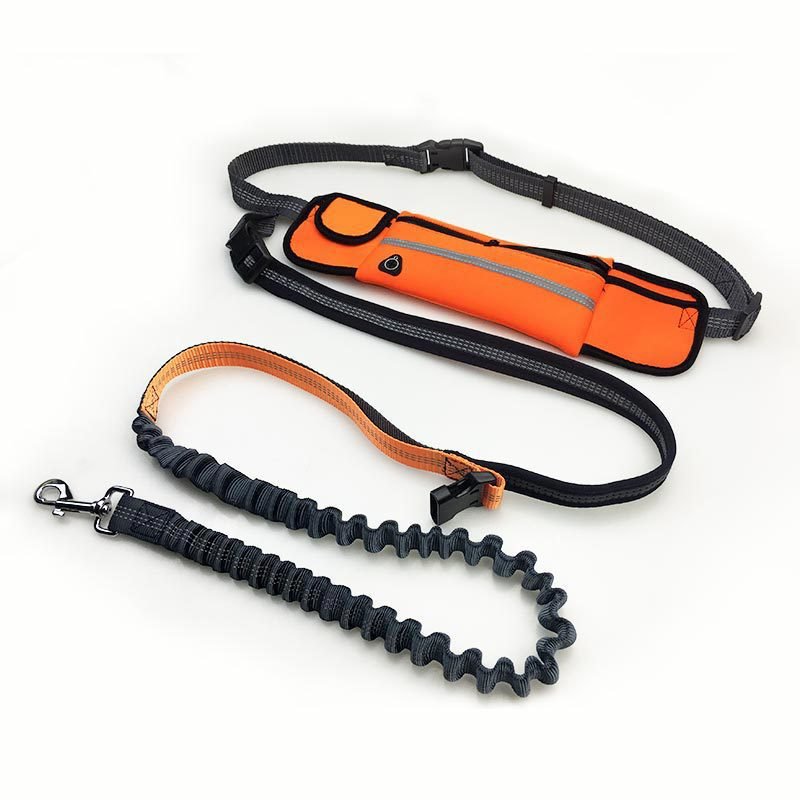 Hand Free Dog Lead Reflective Bungee Dog Lead Running Leash