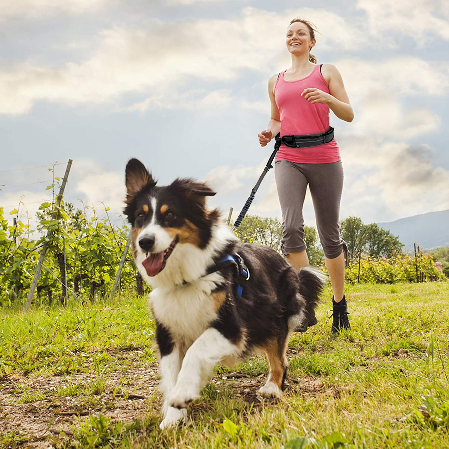 Hand Free Dog Lead Reflective Bungee Dog Lead Running Leash
