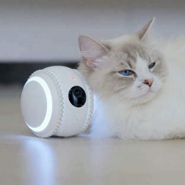 Interactive Camera for Cats | Pet-mate AI Robot with Laser & 4K Video